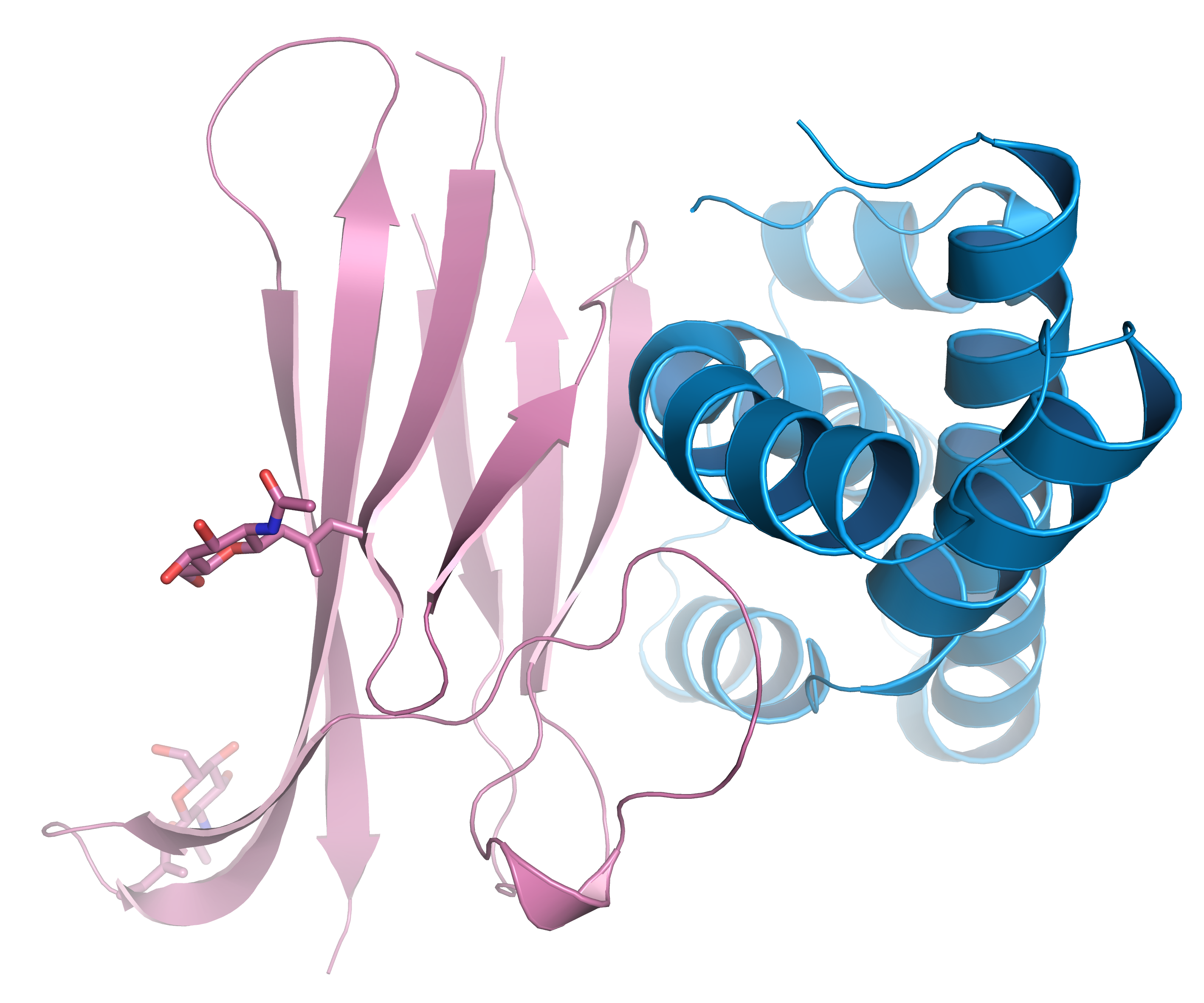 3D-bilder visar hur spermien binder till äggets yta | Karolinska ...