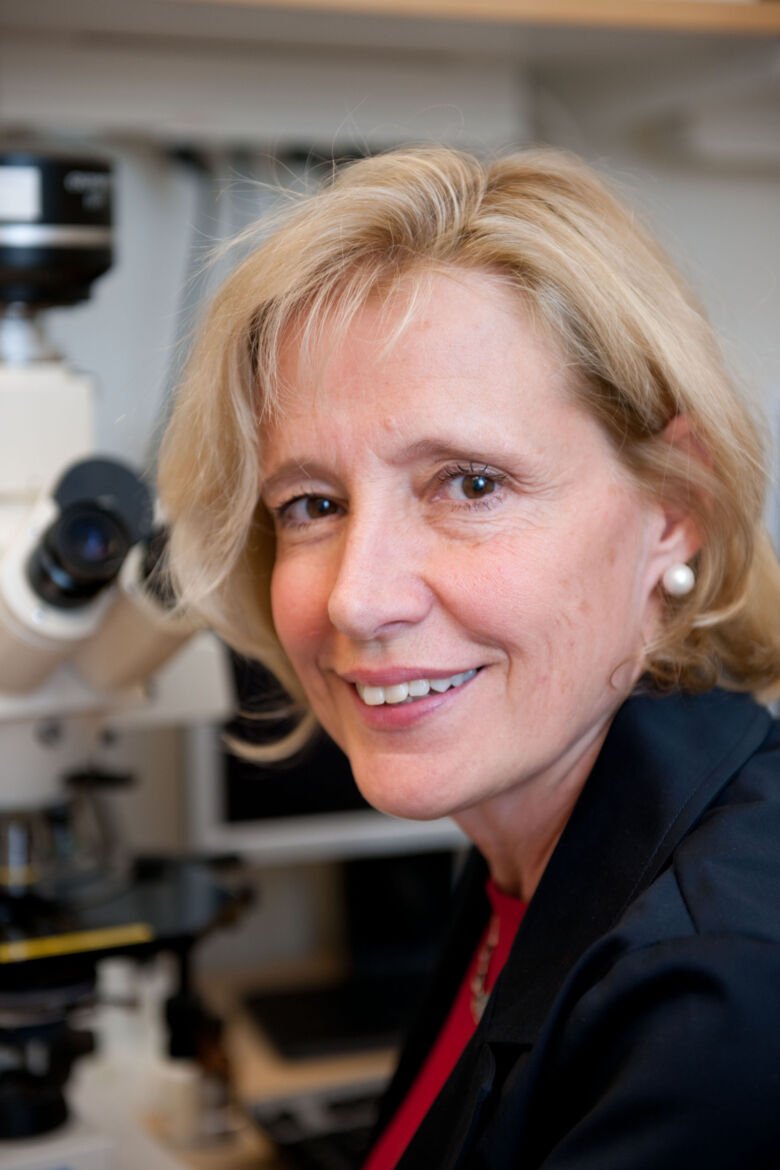 Professor Barbara Canlon har tilldelats Grand Prix Scientifique 2023 ...